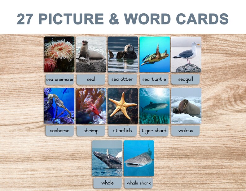 Sea Animals • Printable Flash Cards • 3 Part Cards • Montessori Cards ...