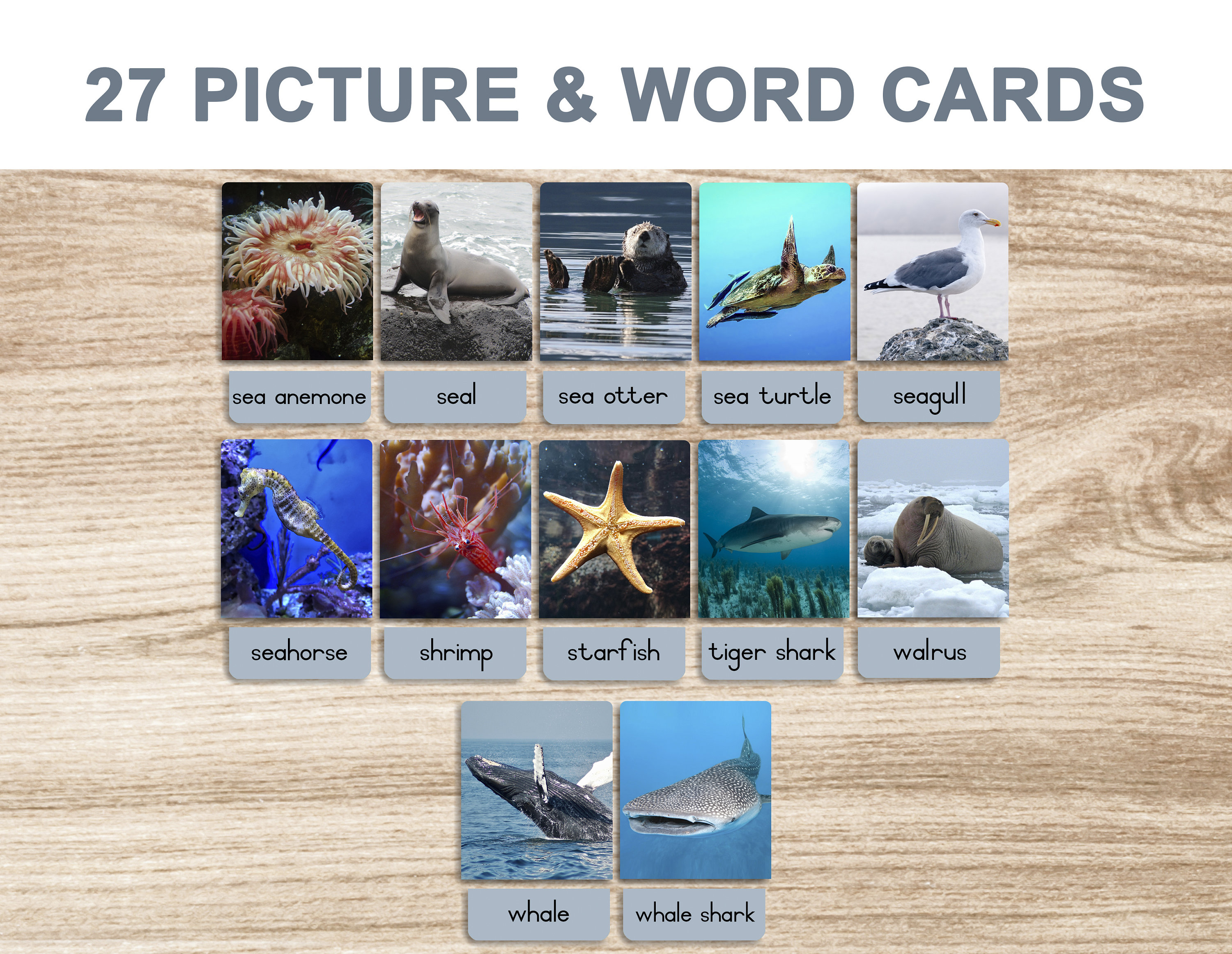 Sea Animals Printable Flash Cards 3 Part Cards Montessori Cards BONUS ...
