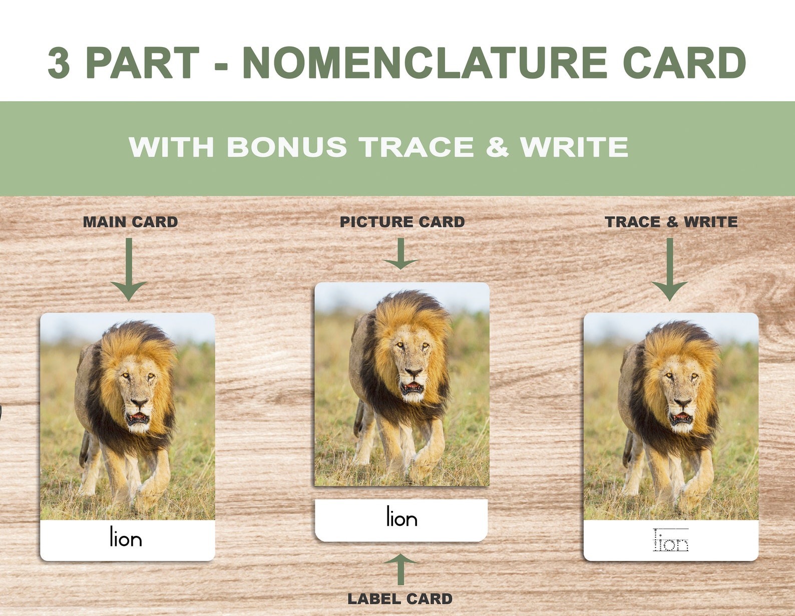 Safari Animals • Printable Flash Cards • 3 Part Cards • Montessori ...