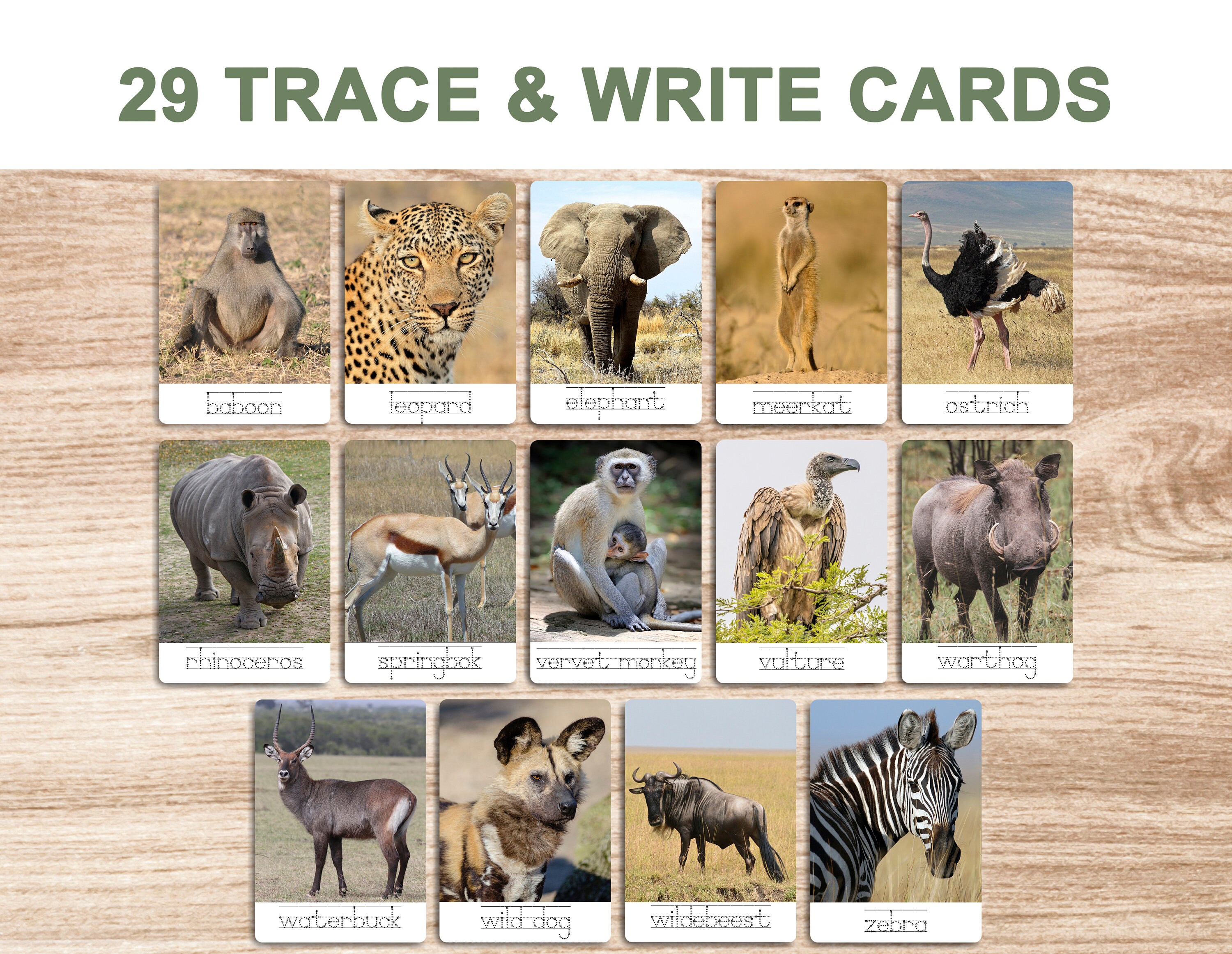 Safari Animals • Printable Flash Cards • 3 Part Cards • Montessori ...