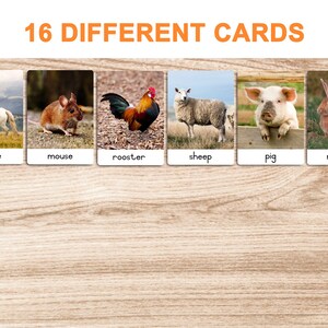 Farm Animals • Printable Flash Cards • 3 Part Cards • Montessori Cards ...