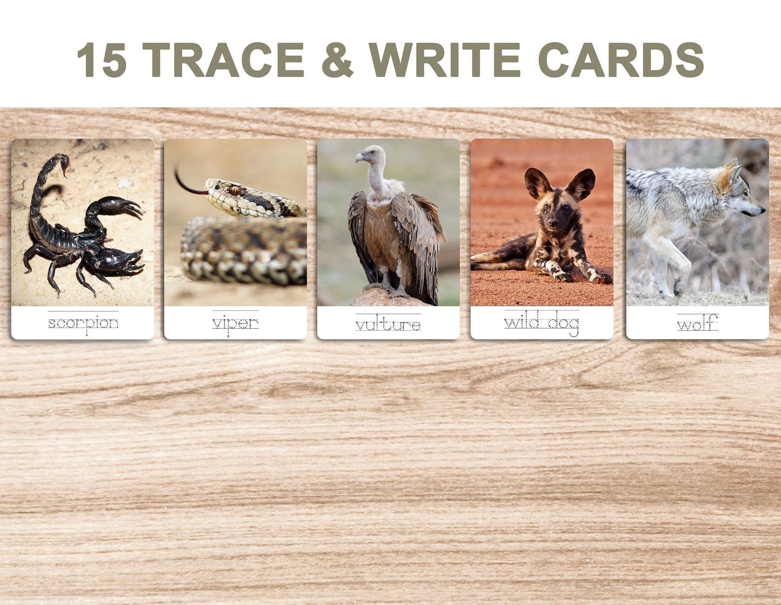 Desert Animals • Printable Flash Cards • 3 Part Cards • Montessori ...