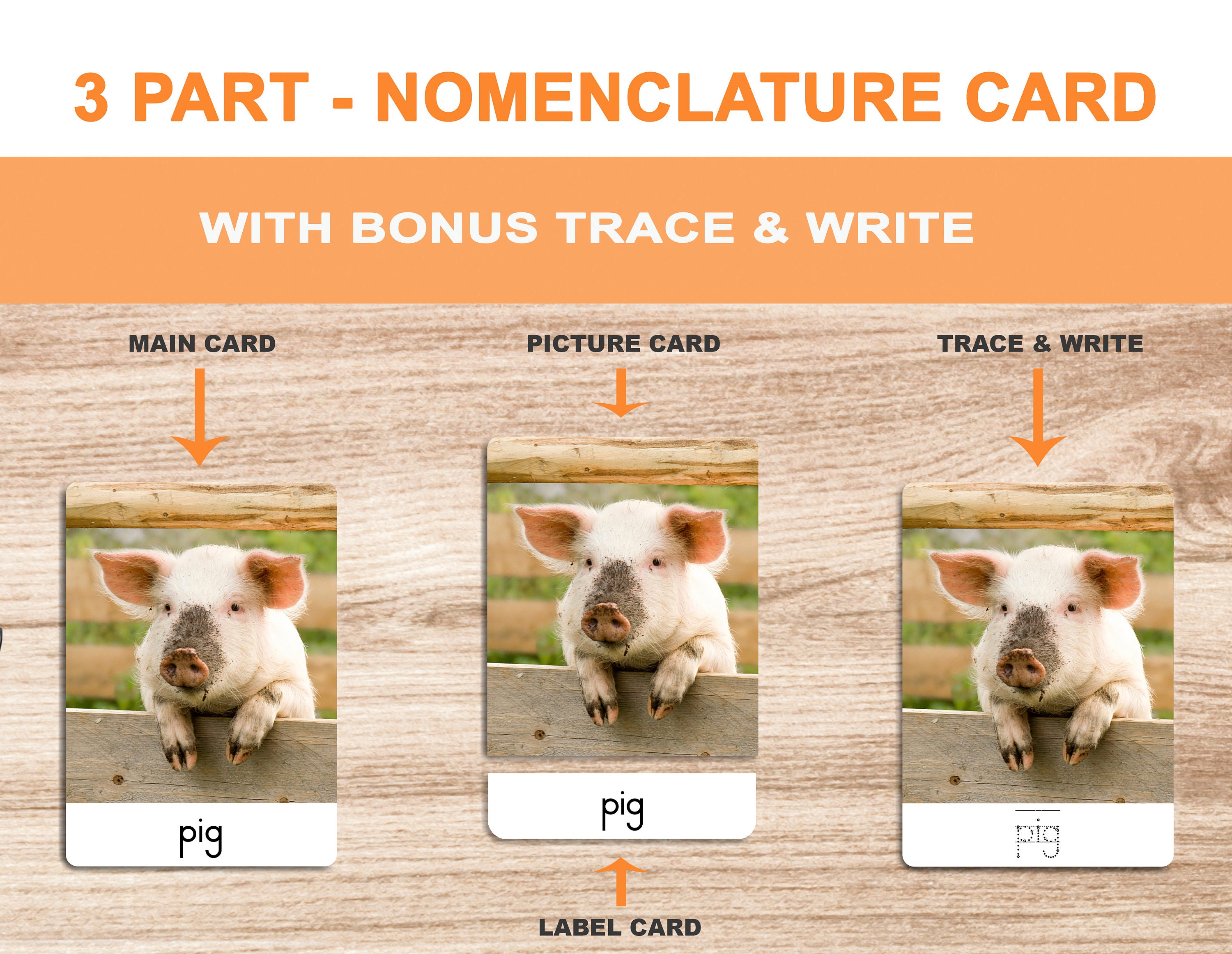 Farm Animals • Printable Flash Cards • 3 Part Cards • Montessori Cards ...