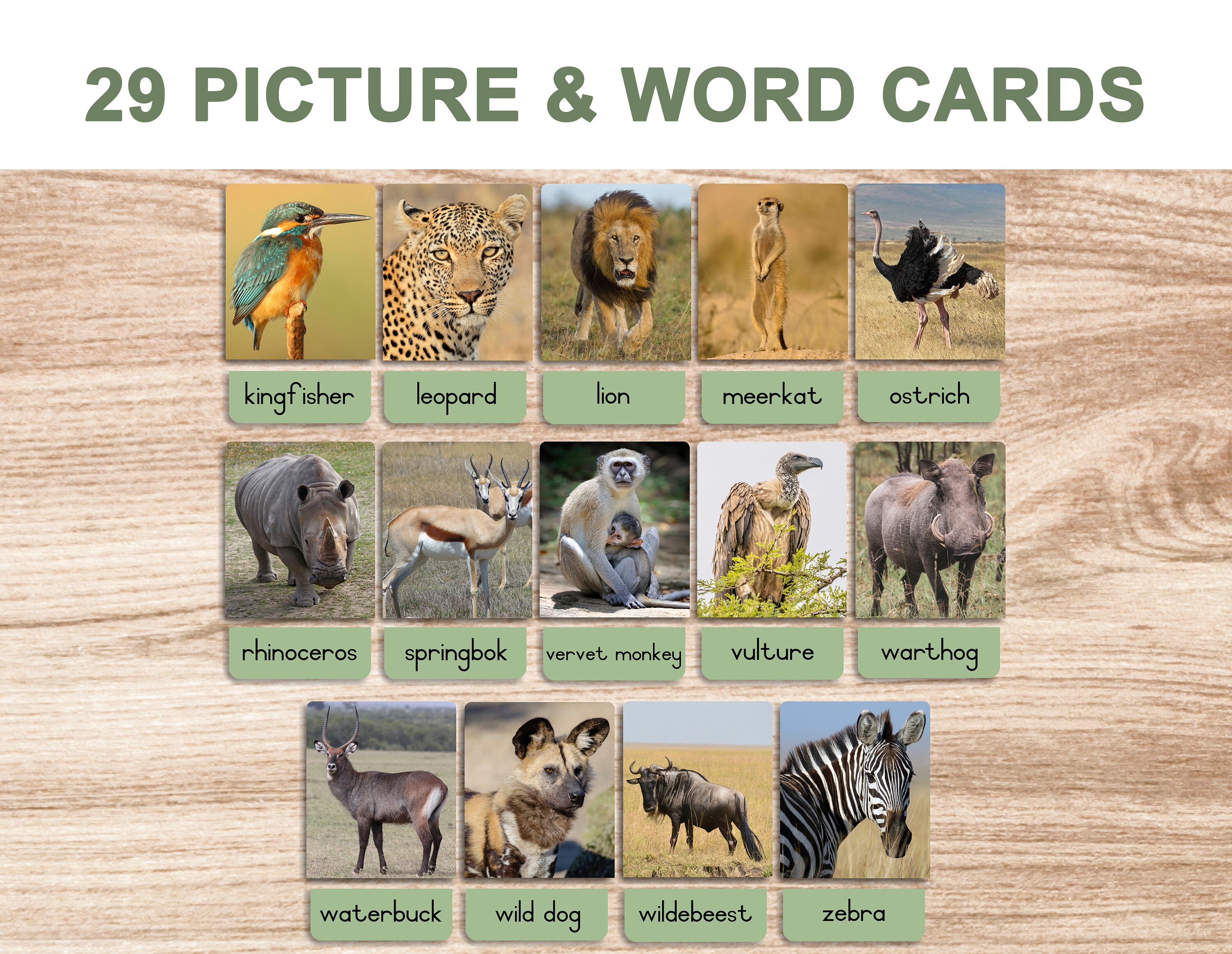 Safari Animals • Printable Flash Cards • 3 Part Cards • Montessori ...