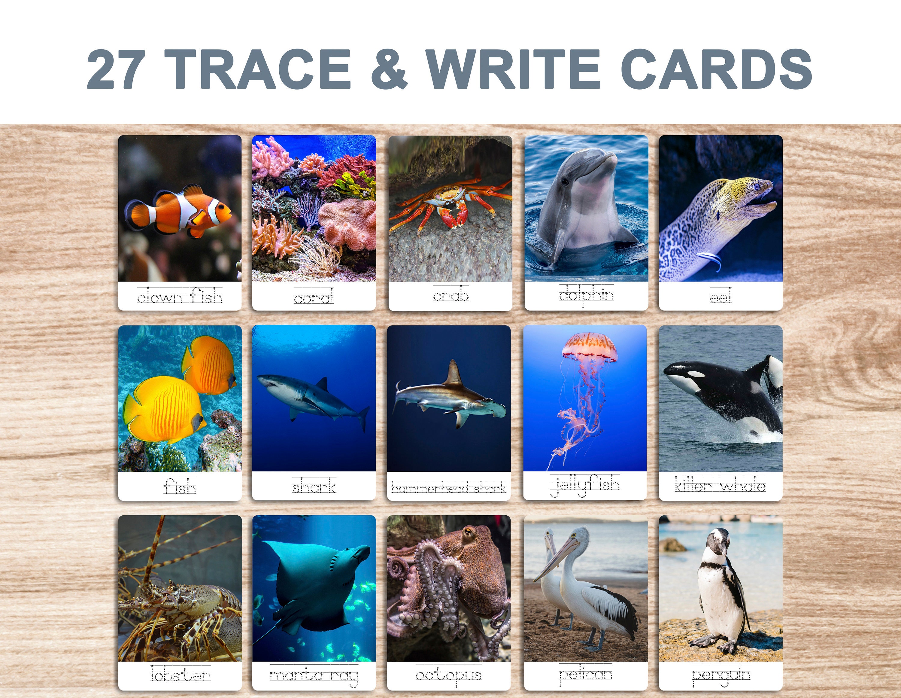 Sea Animals Printable Flash Cards 3 Part Cards Montessori Cards BONUS ...