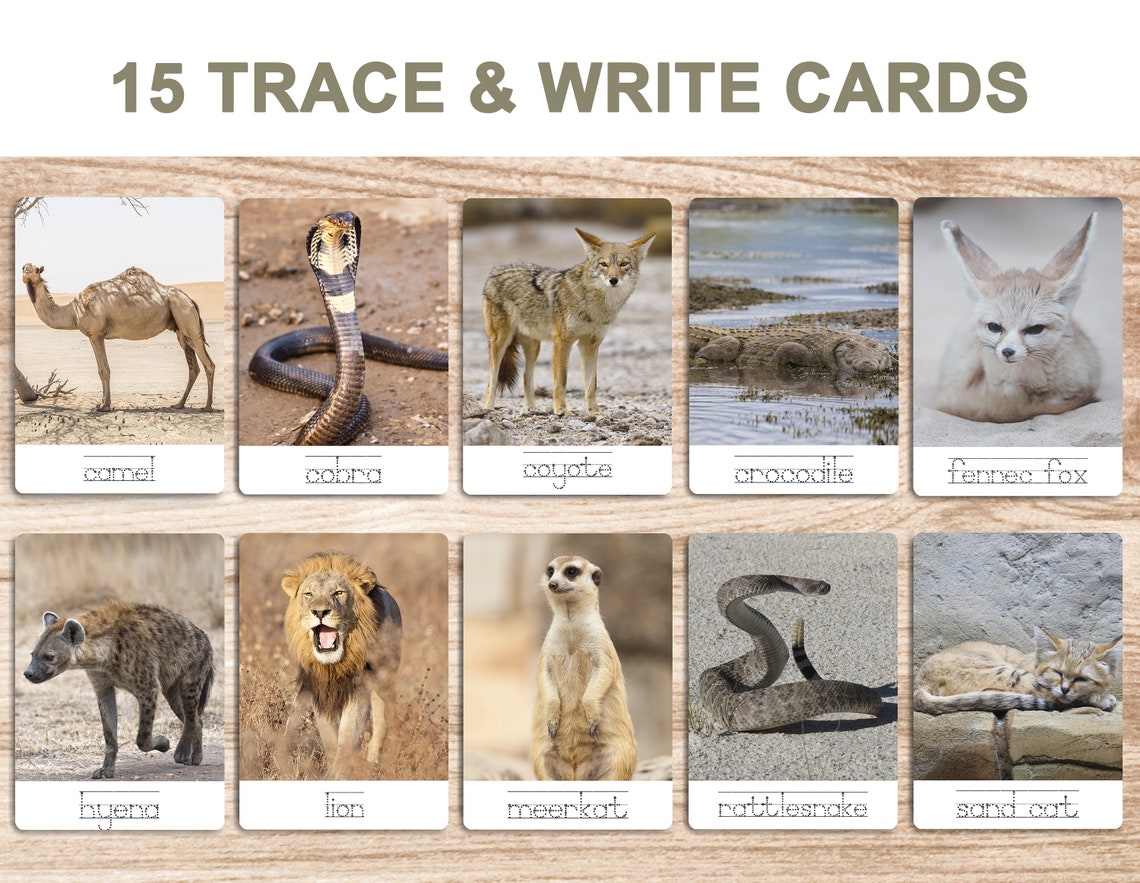 Desert Animals Printable Flash Cards 3 Part Cards Montessori Cards ...