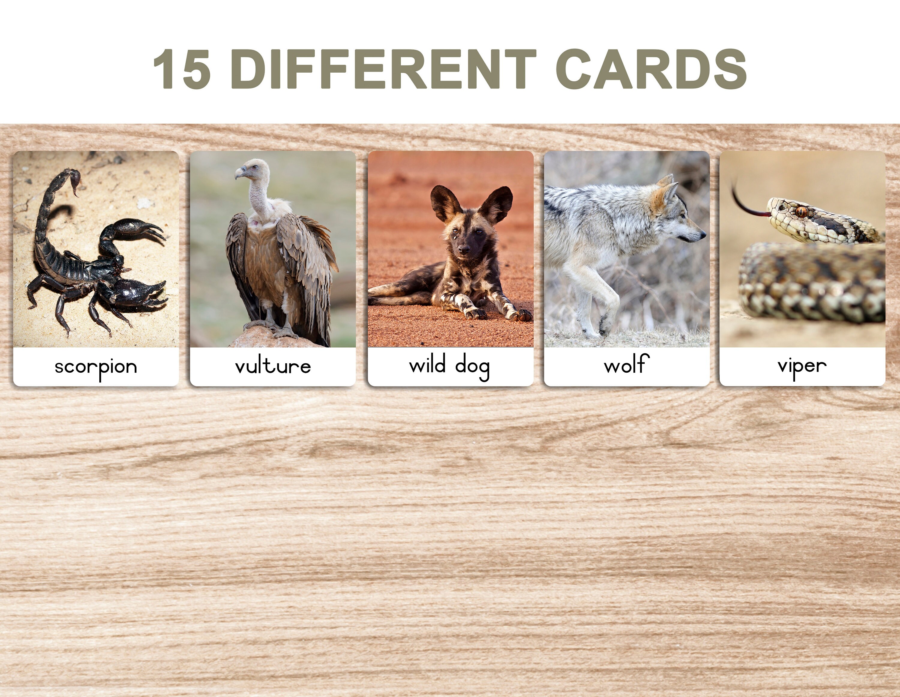 Desert Animals • Printable Flash Cards • 3 Part Cards • Montessori ...