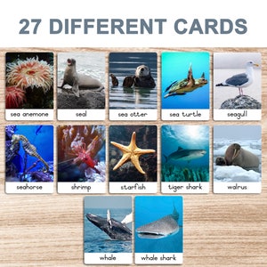 Sea Animals • Printable Flash Cards • 3 Part Cards • Montessori Cards ...