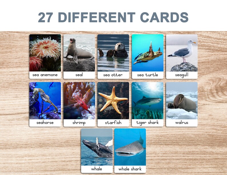 Sea Animals • Printable Flash Cards • 3 Part Cards • Montessori Cards ...
