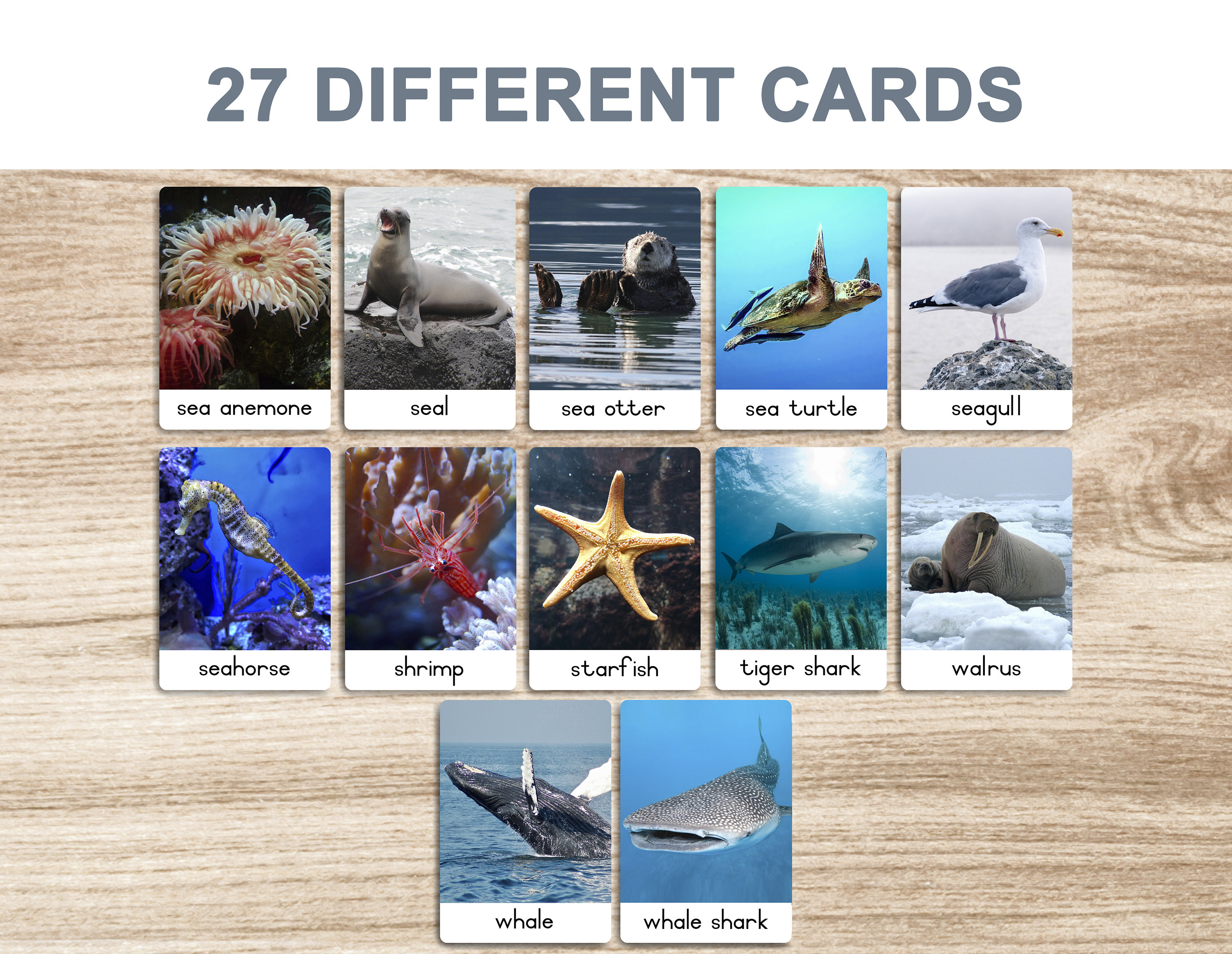 Sea Animals • Printable Flash Cards • 3 Part Cards • Montessori Cards ...