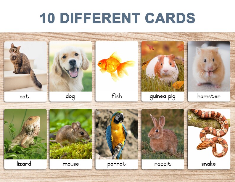 Pets • Printable Flash Cards • 3 Part Cards • Montessori Cards • BONUS ...