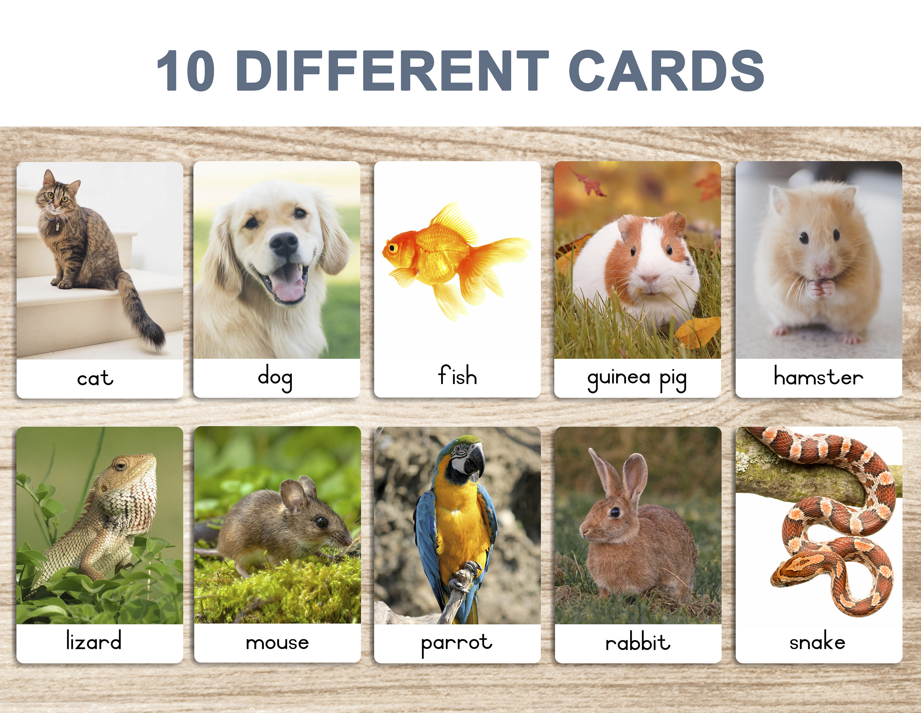 Pets • Printable Flash Cards • 3 Part Cards • Montessori Cards • BONUS ...