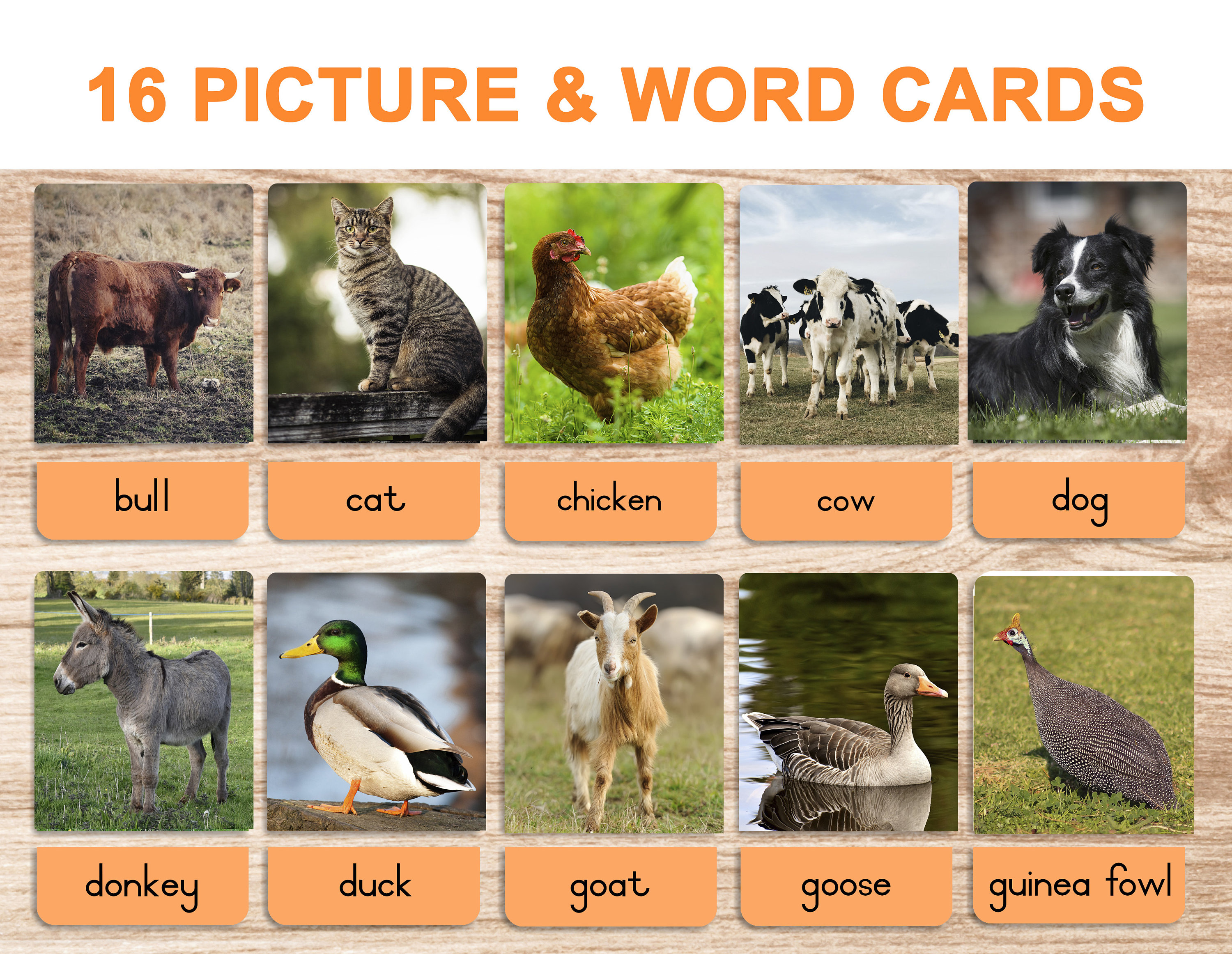 Farm Animals • Printable Flash Cards • 3 Part Cards • Montessori Cards ...