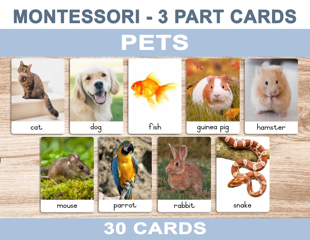 Pets • Printable Flash Cards • 3 Part Cards • Montessori Cards • BONUS ...