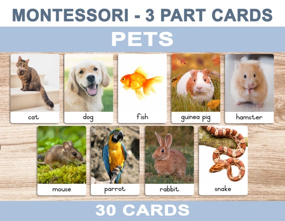 Pets Printable Flash Cards 3 Part Cards Montessori Cards | Etsy
