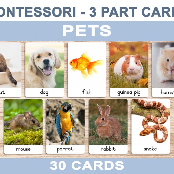 Montessori Pets 3 Part Cards - Etsy