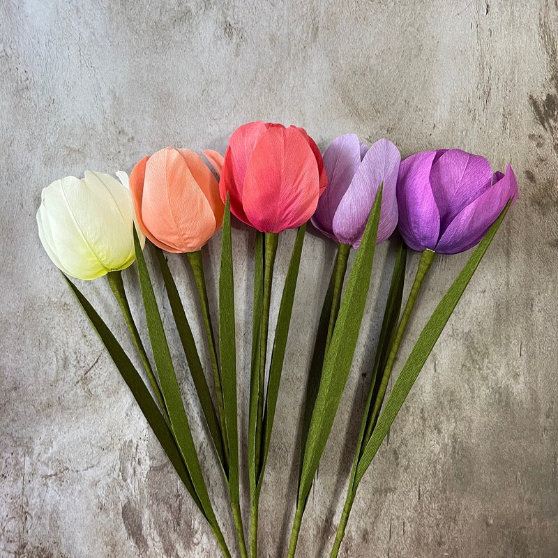 Paper Tulips - Etsy