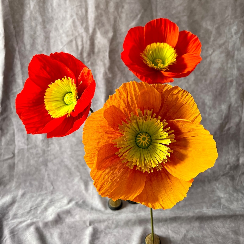 Paper Poppies - Etsy
