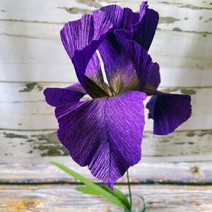 Crepe Paper Iris - Etsy