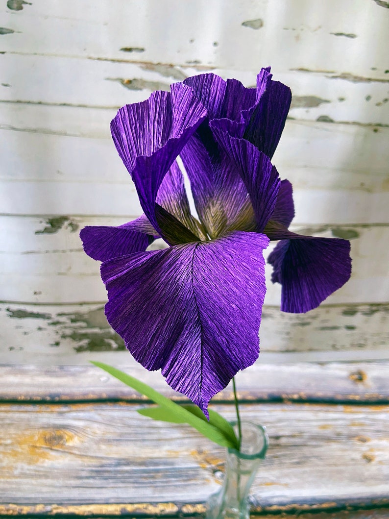 Crepe Paper Iris - Etsy