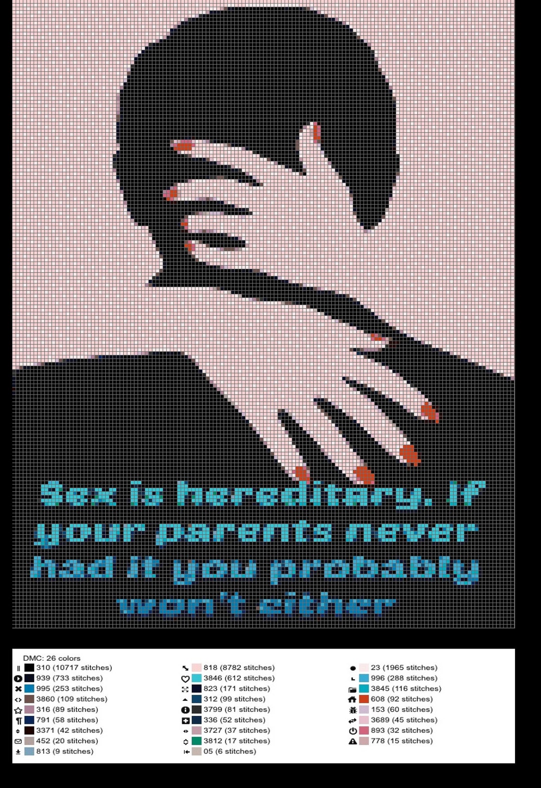 Rude Cross Stitch Kit With Detailed Thread Requirements and a Full Size ...