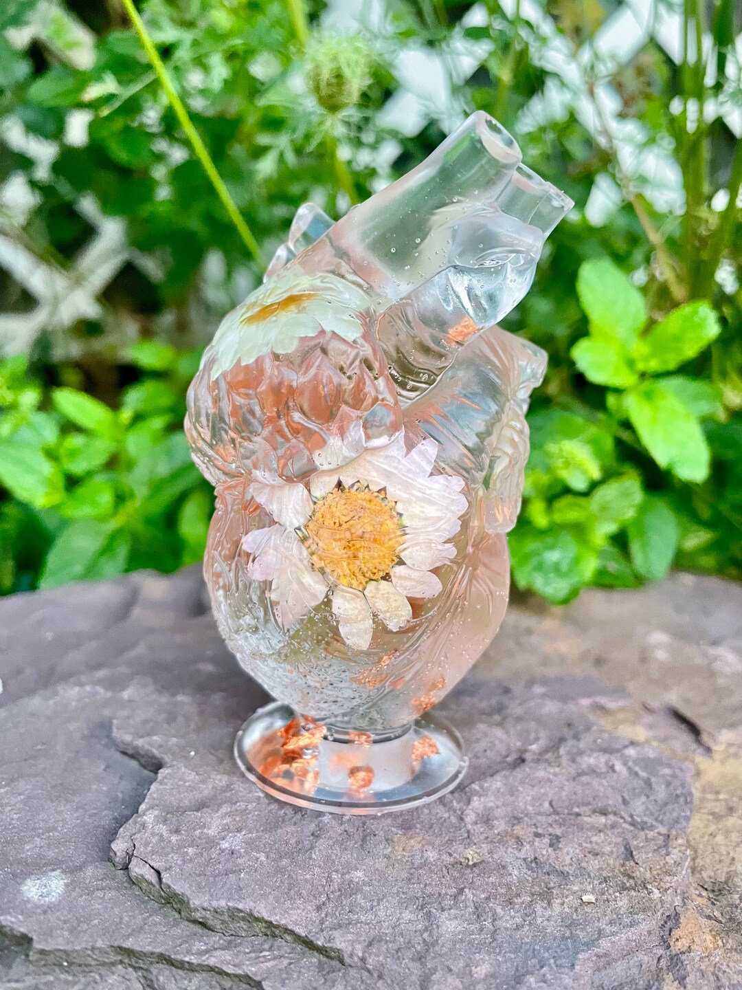 4” Resin Anatomically Correct Heart Decor / Anatomical Heart Organ ...