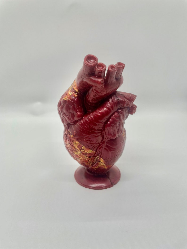 4” Resin Anatomically Correct Heart Decor / Anatomical Heart Organ ...