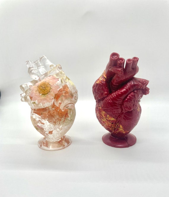4 Resin Anatomically Correct Heart Decor / Anatomical Heart | Etsy