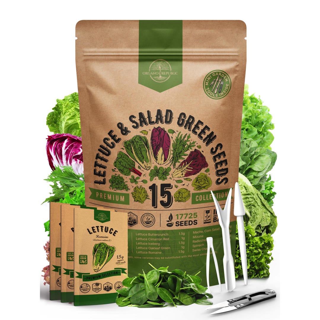 15 Lettuce & Salad Green Seeds Variety Pack 17700+ Non GMO Heirloom ...