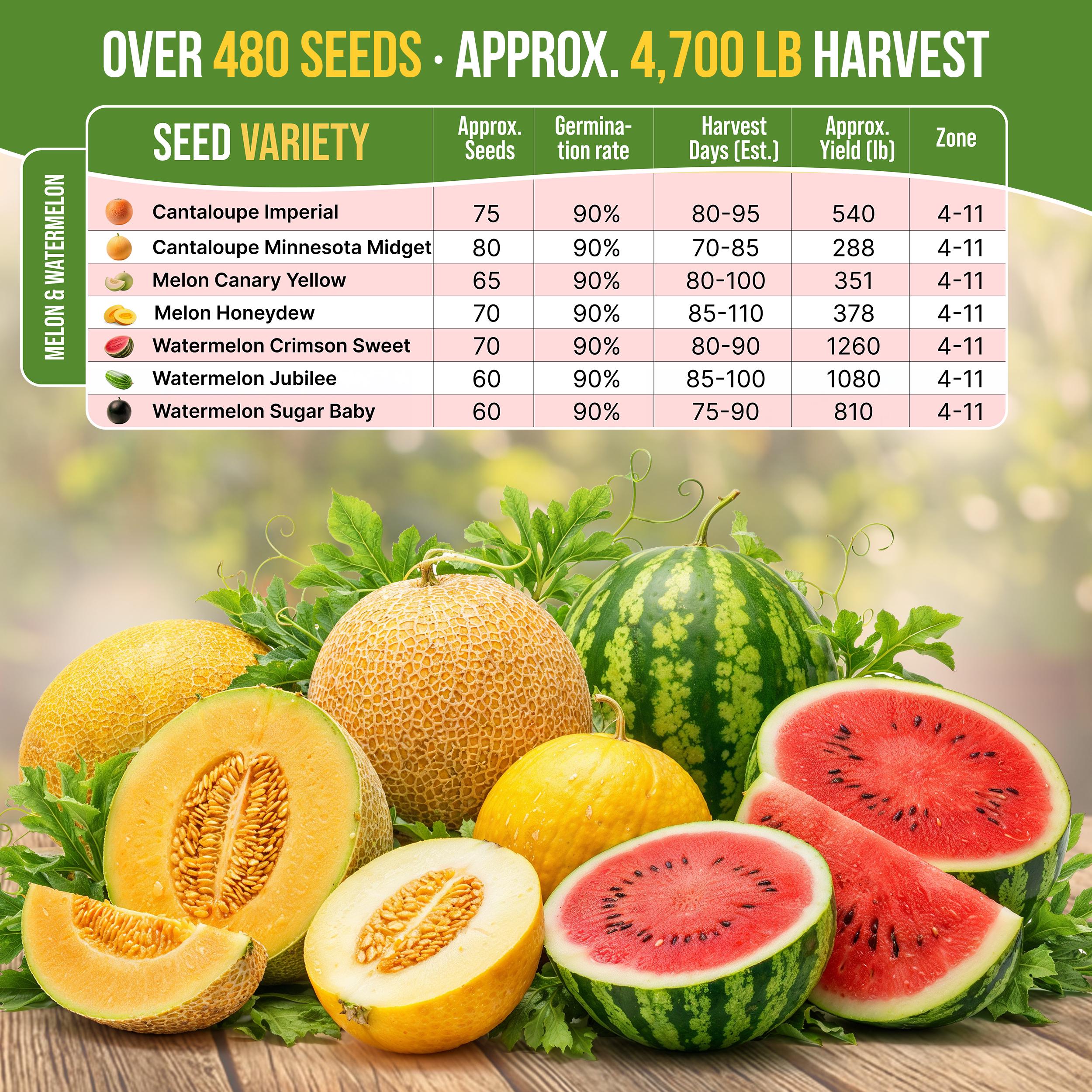 7 Melon & Watermelon Seeds Variety Pack: Heirloom Fruits, 480+ Seeds - Etsy