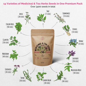 14 Medicinal & Tea Herb Seeds 3400 Non GMO Heirloom Seeds for Planting ...