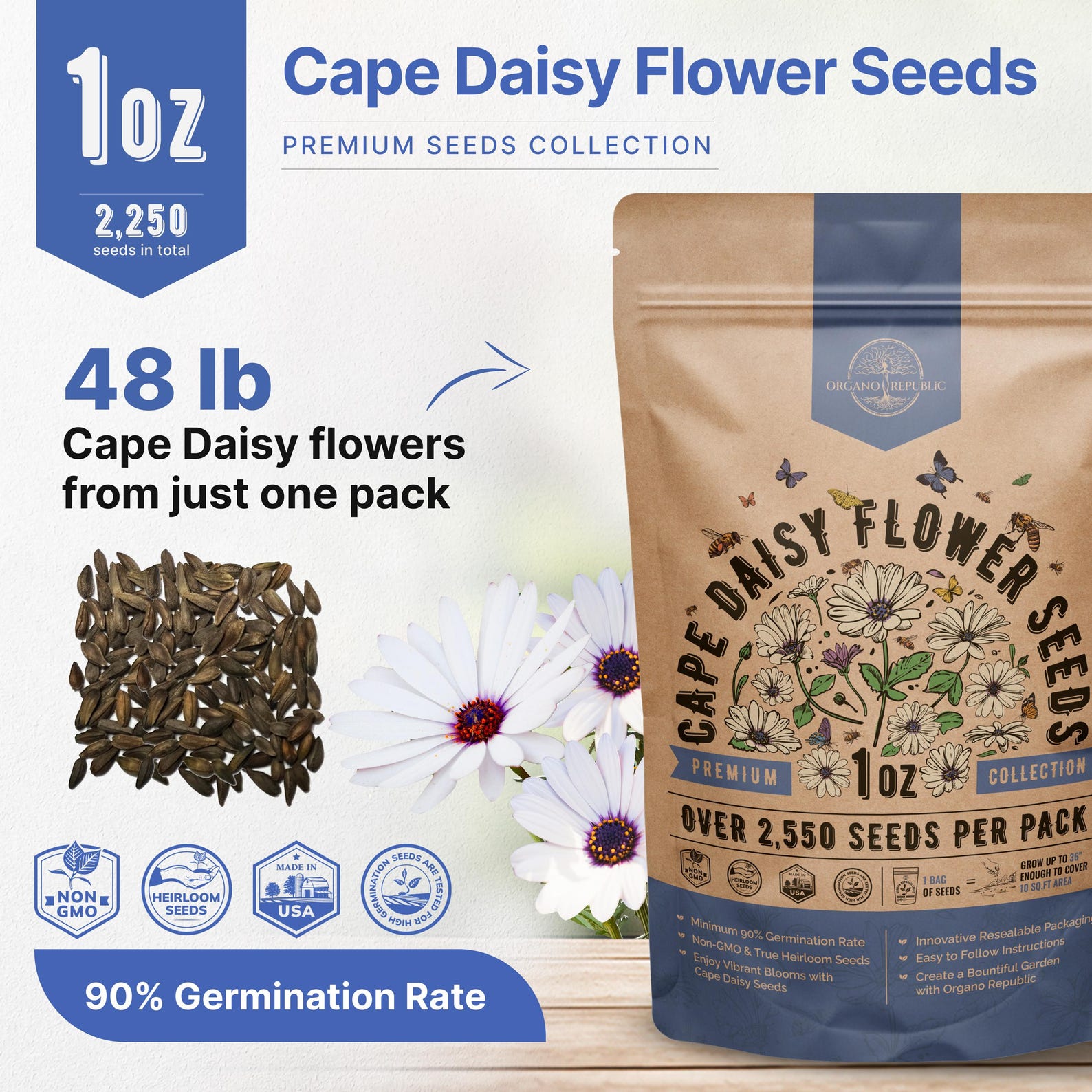 Cape Daisy Flower Seeds: 2550+ Non-gmo Heirloom Seeds - Etsy