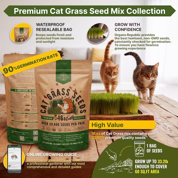 Grass For Cats Organic Wheatgrass Seeds & Bulk Grains - Non-GMO ...