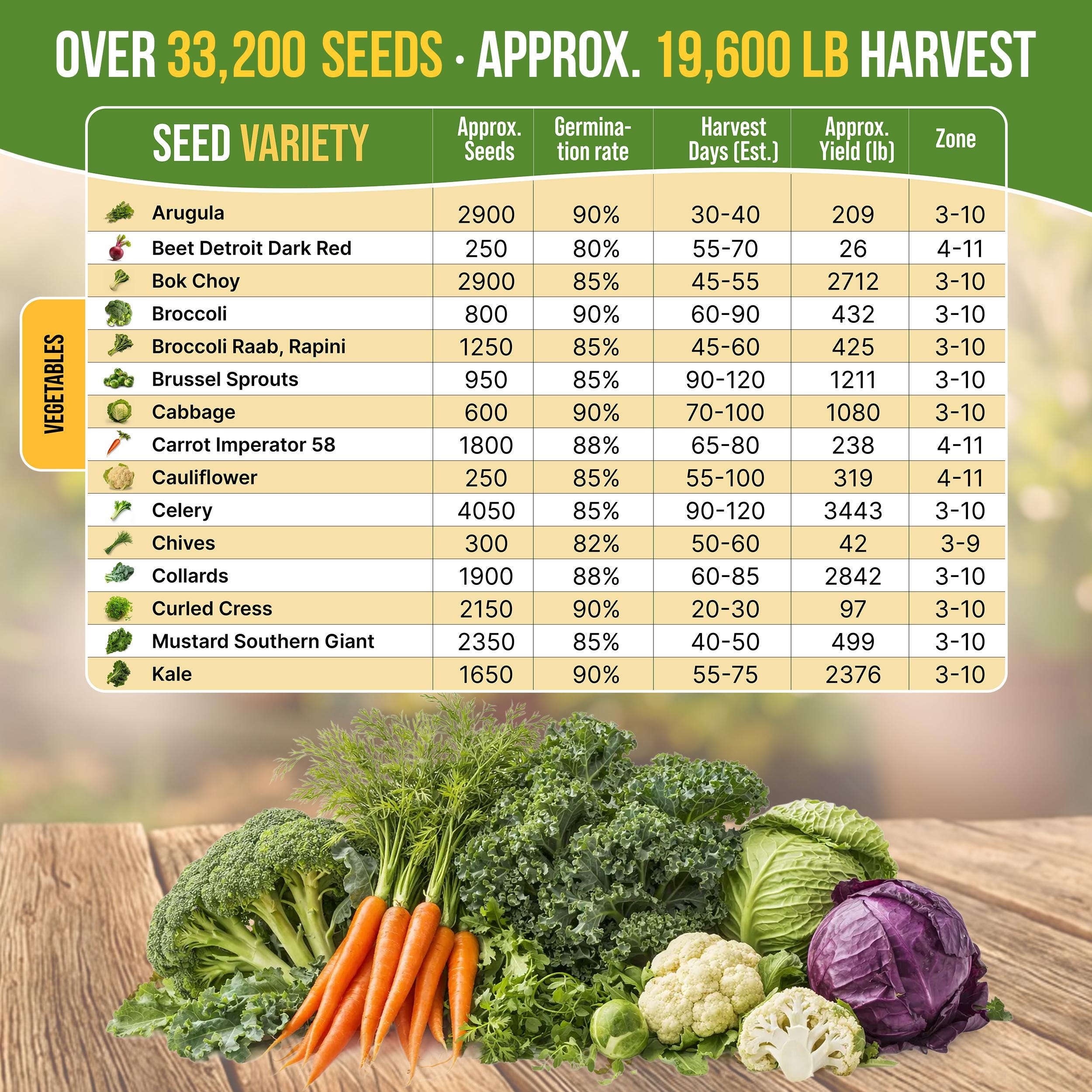 30 Winter Vegetable Seeds Variety Pack: Heirloom Non GMO Garden Seeds ...