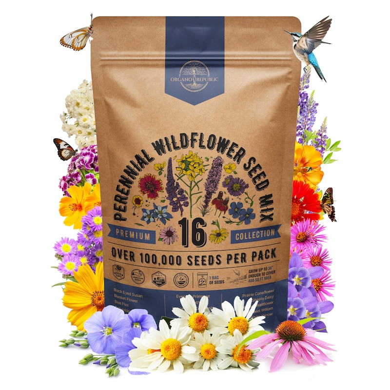 Perennial Seeds - Etsy