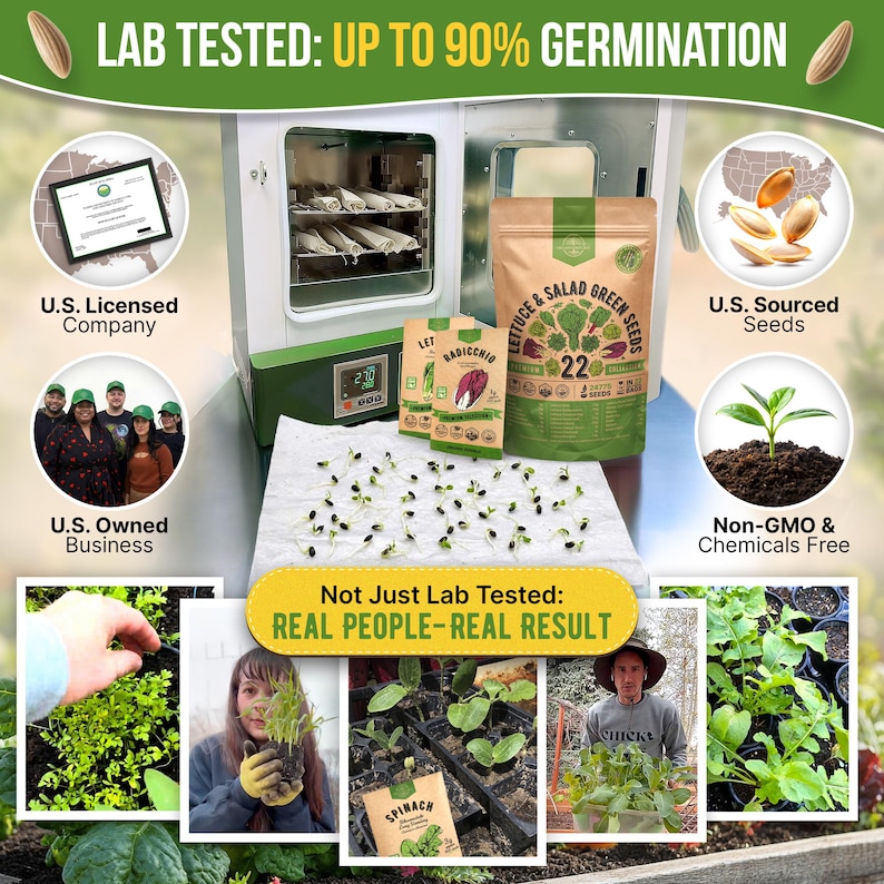 22 Lettuce & Salad Greens Seeds Variety Pack: Heirloom Non GMO - Etsy