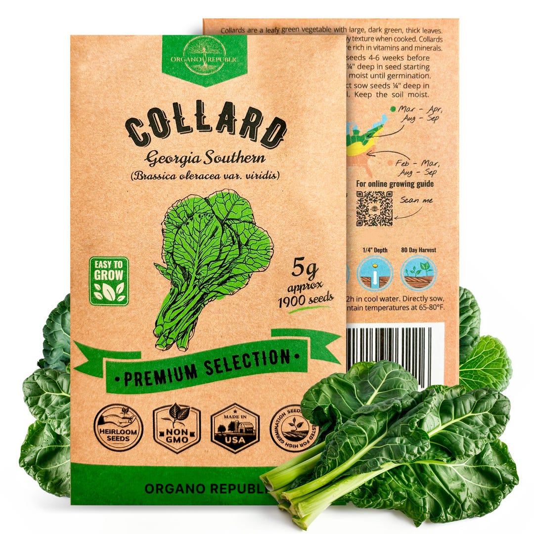 Georgia Southern Collard Seeds: 1900+ Non GMO Heirloom Seeds - Etsy