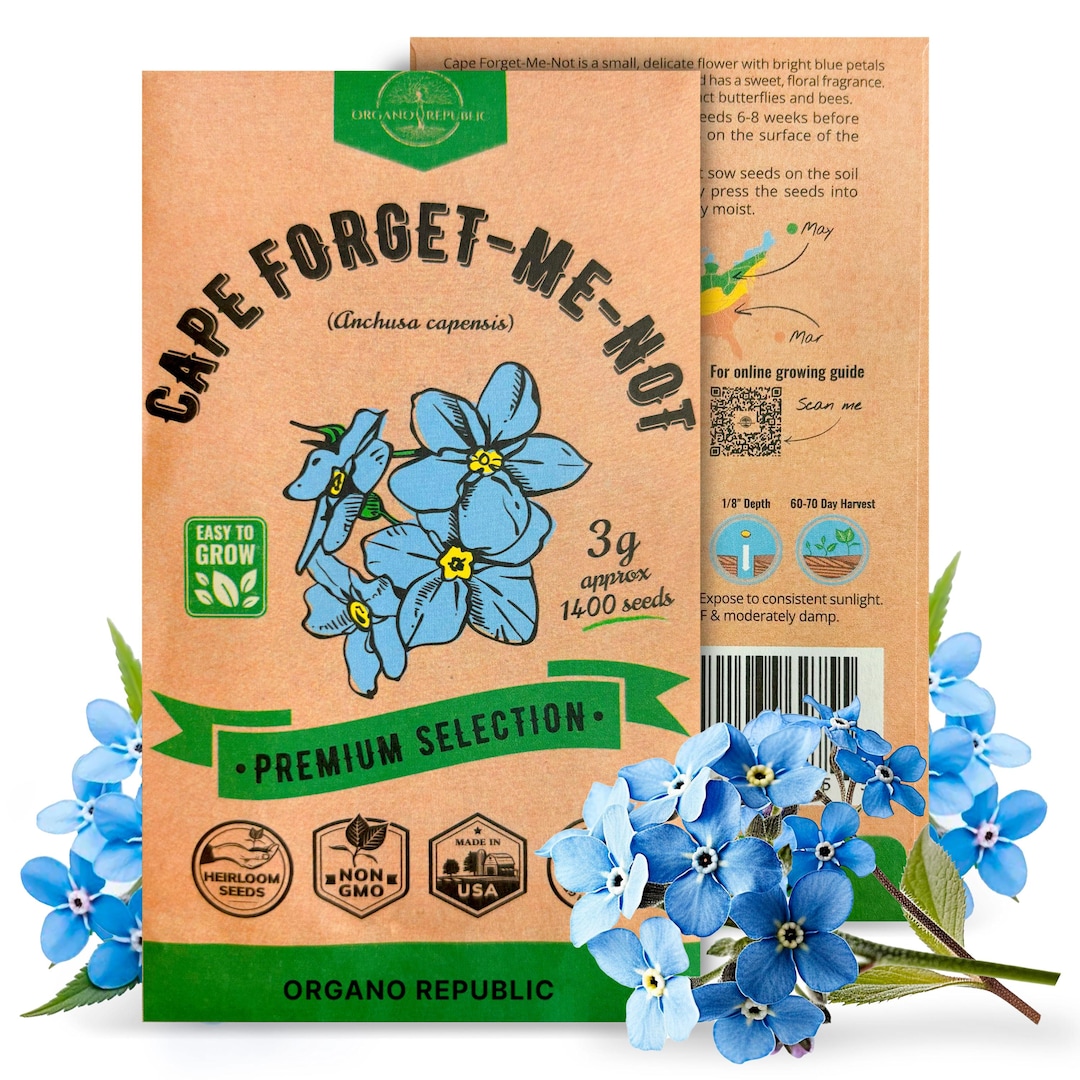 Cape Forget-me-not Seeds Pack 3G - Over 1,400 Non GMO Heirloom Cape ...