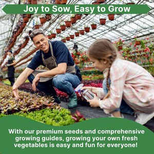 Cape Forget-me-not Seeds Pack 3G - Over 1,400 Non GMO Heirloom Cape ...