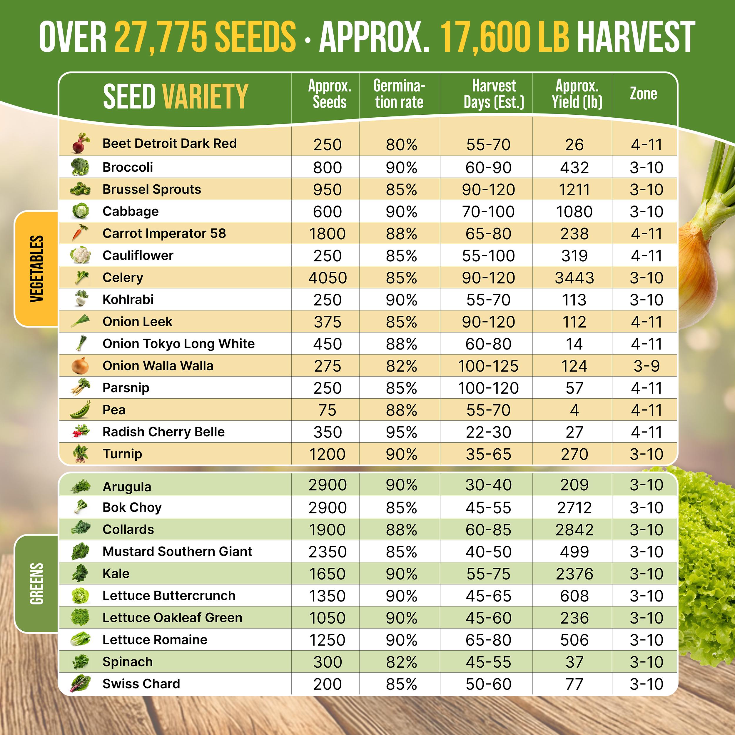 25 Winter Vegetable & Green Seeds Variety Pack for Outdoors and Indoor ...