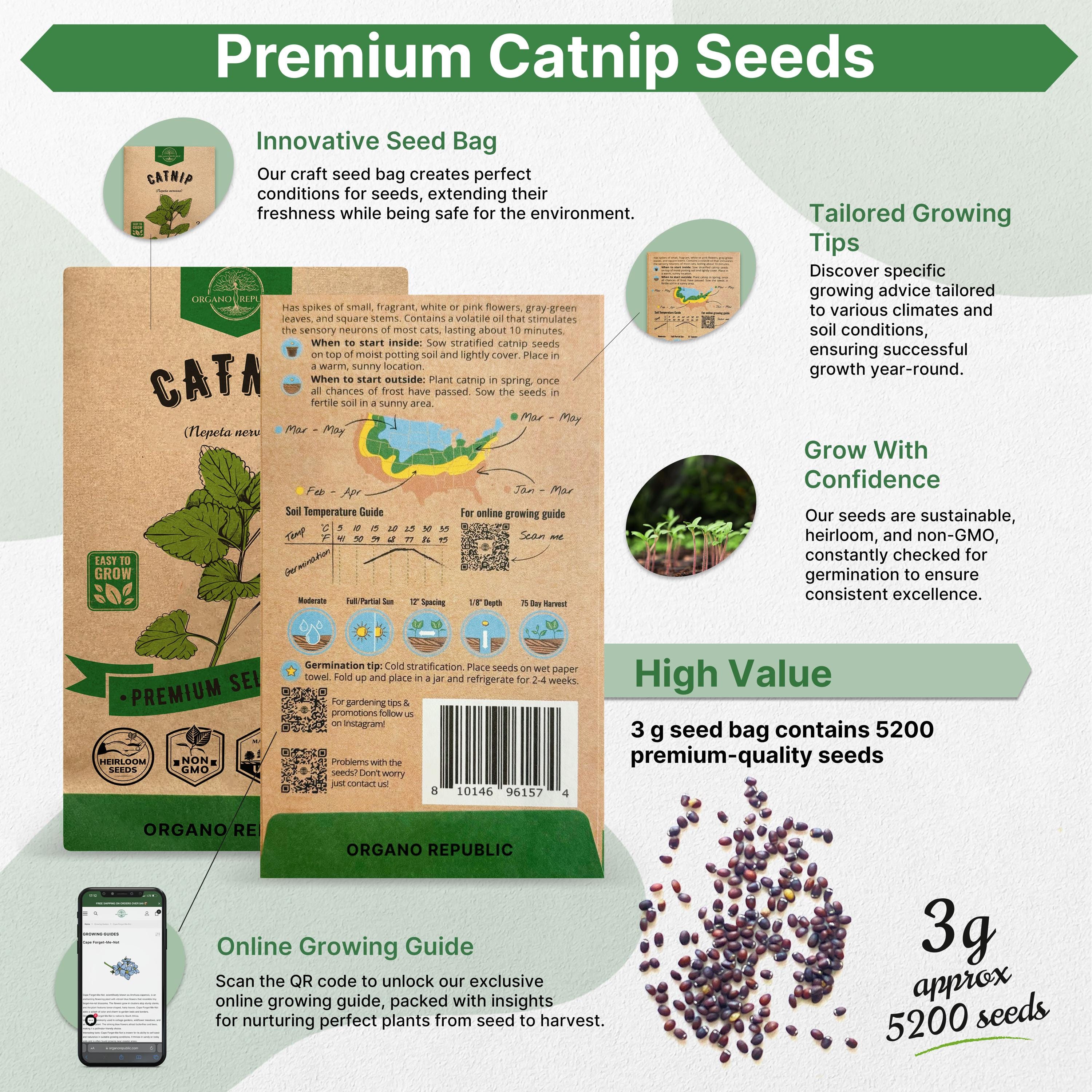 Heirloom Catnip Seeds: 5200+ Non-gmo Herb Seeds for Planting - Etsy