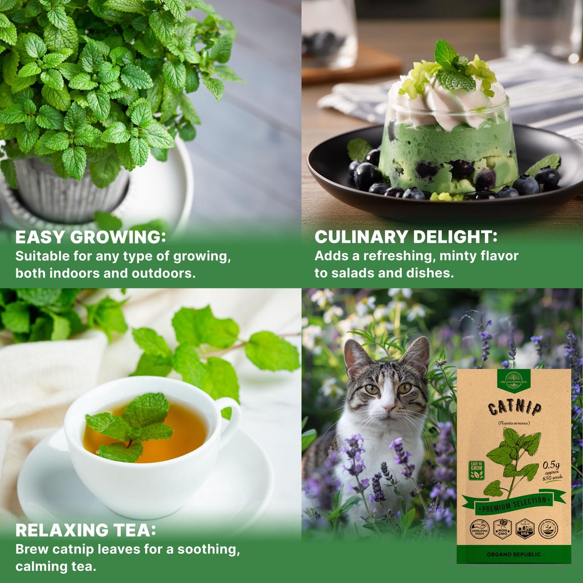 Heirloom Catnip Seeds: 5200+ Non-gmo Herb Seeds for Planting - Etsy
