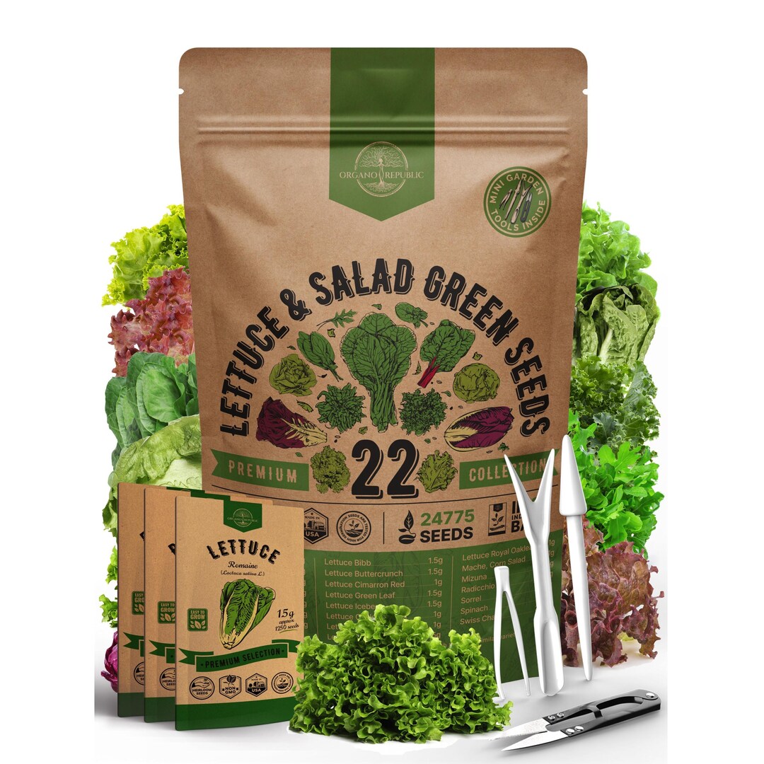 22 Lettuce & Salad Greens Seeds Variety Pack: Heirloom Non GMO - Etsy