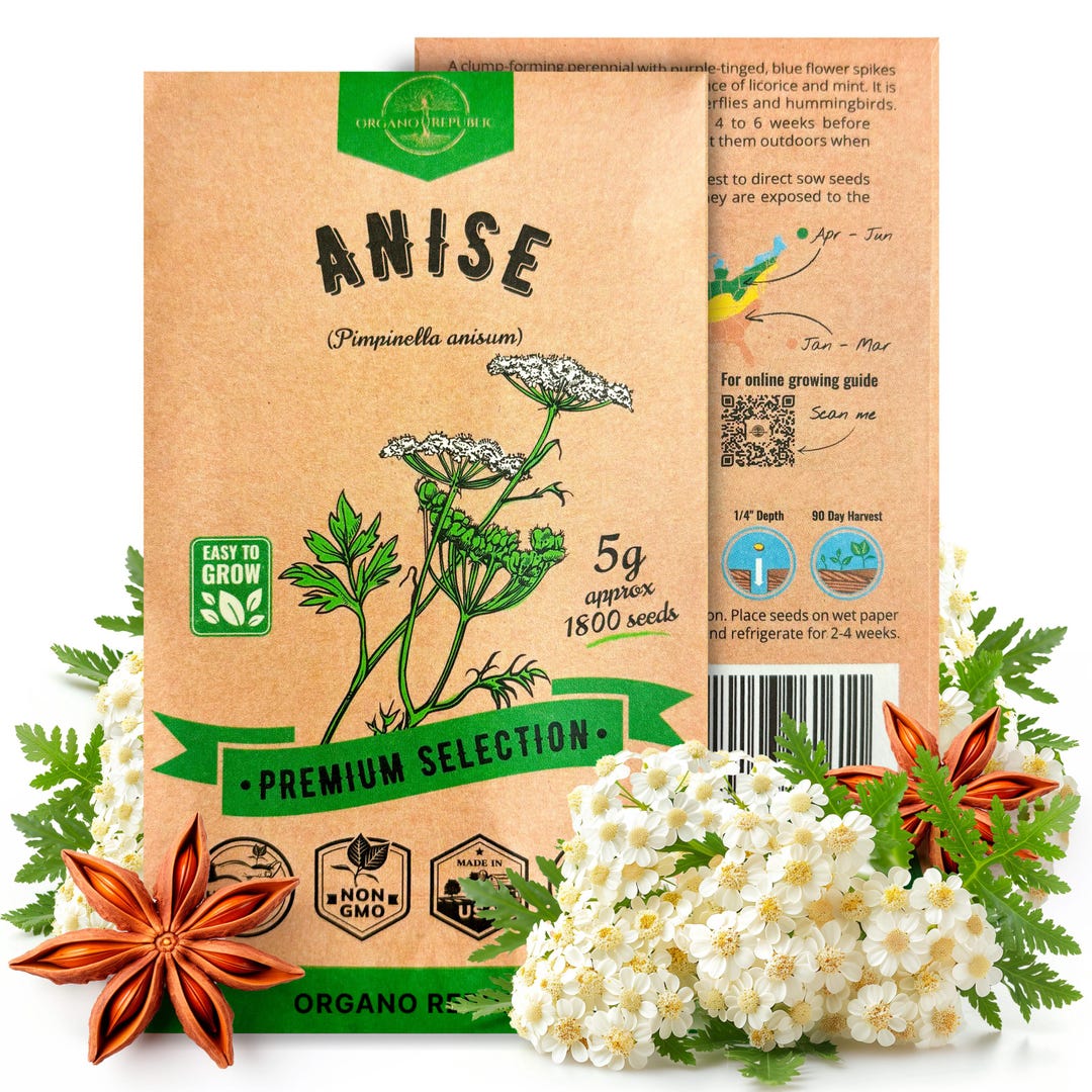 Anise Seeds Pack 5G - Over 1800 Non GMO Heirloom Anise Seeds for ...