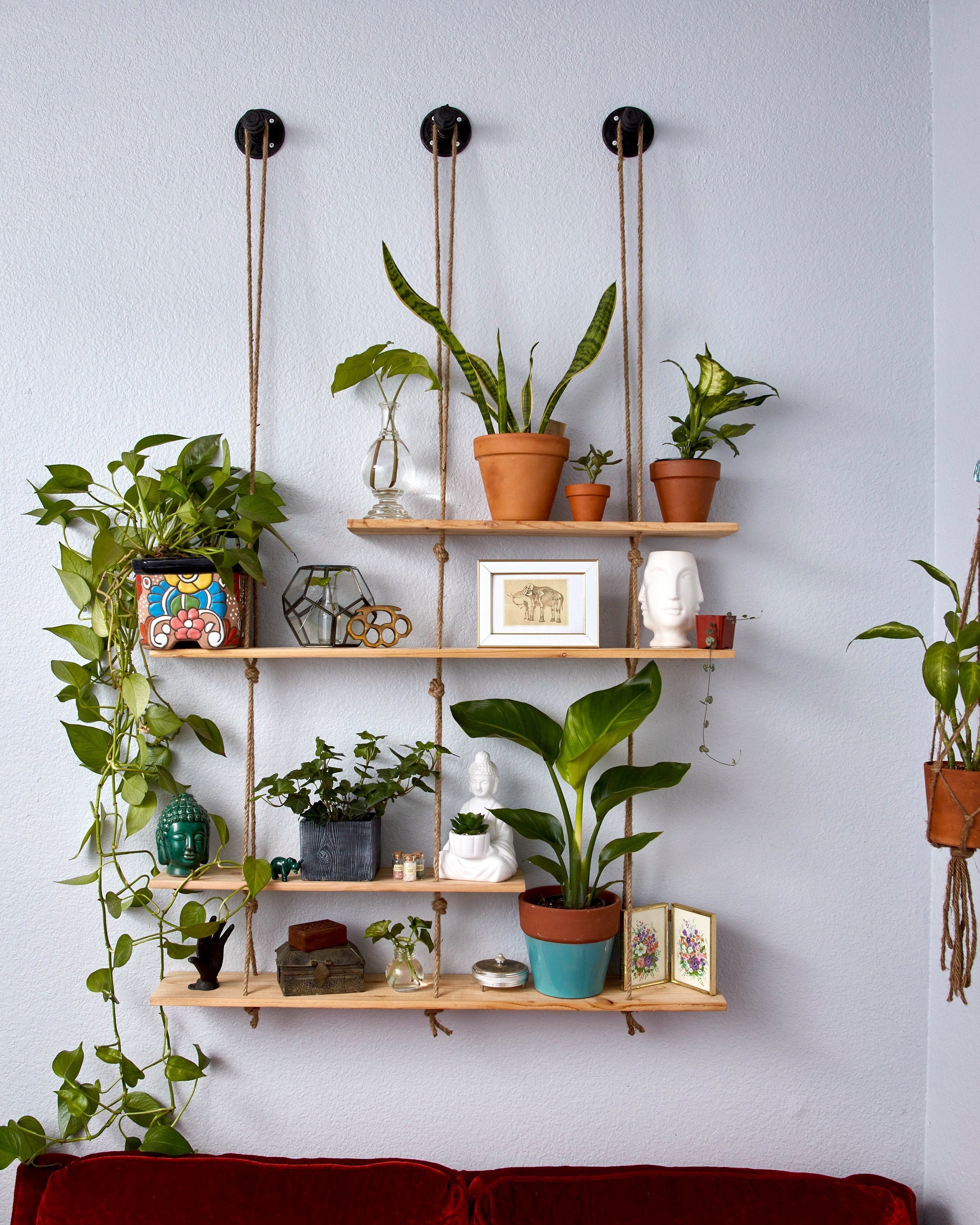 The Best Plant Shelf Ideas To Keep Your Plant Babies Thriving | atelier ...