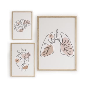 Medical Line Art Set of 3 Wall Art Prints Beige Brain Poster - Etsy