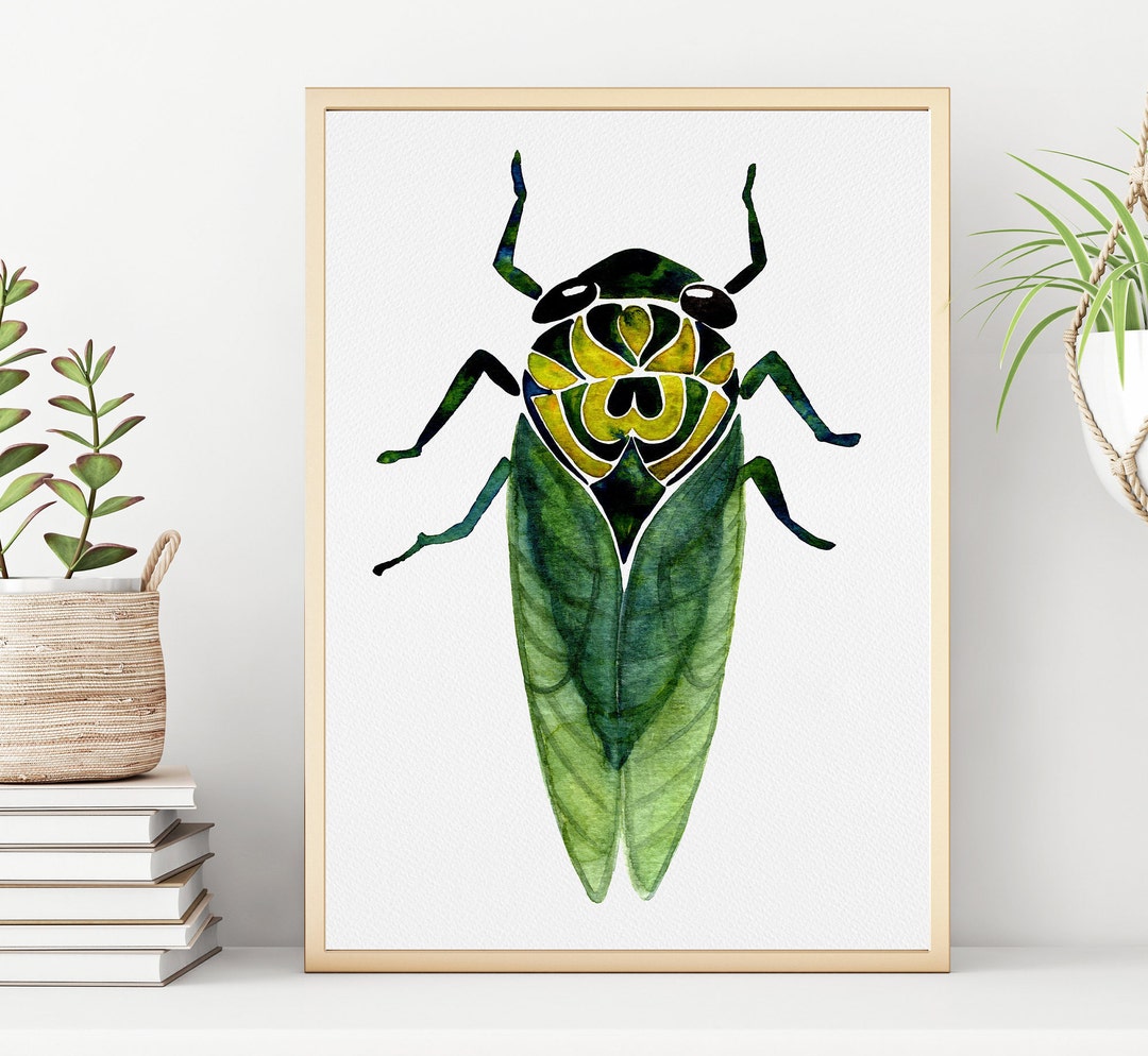 Watercolor Cicada Art Print | Insect Illustration | Brood X | 8"x10 ...