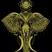 COSMIC ELEPHANT Sacred Geometry / Esoteric / Alchemy / Animal ...