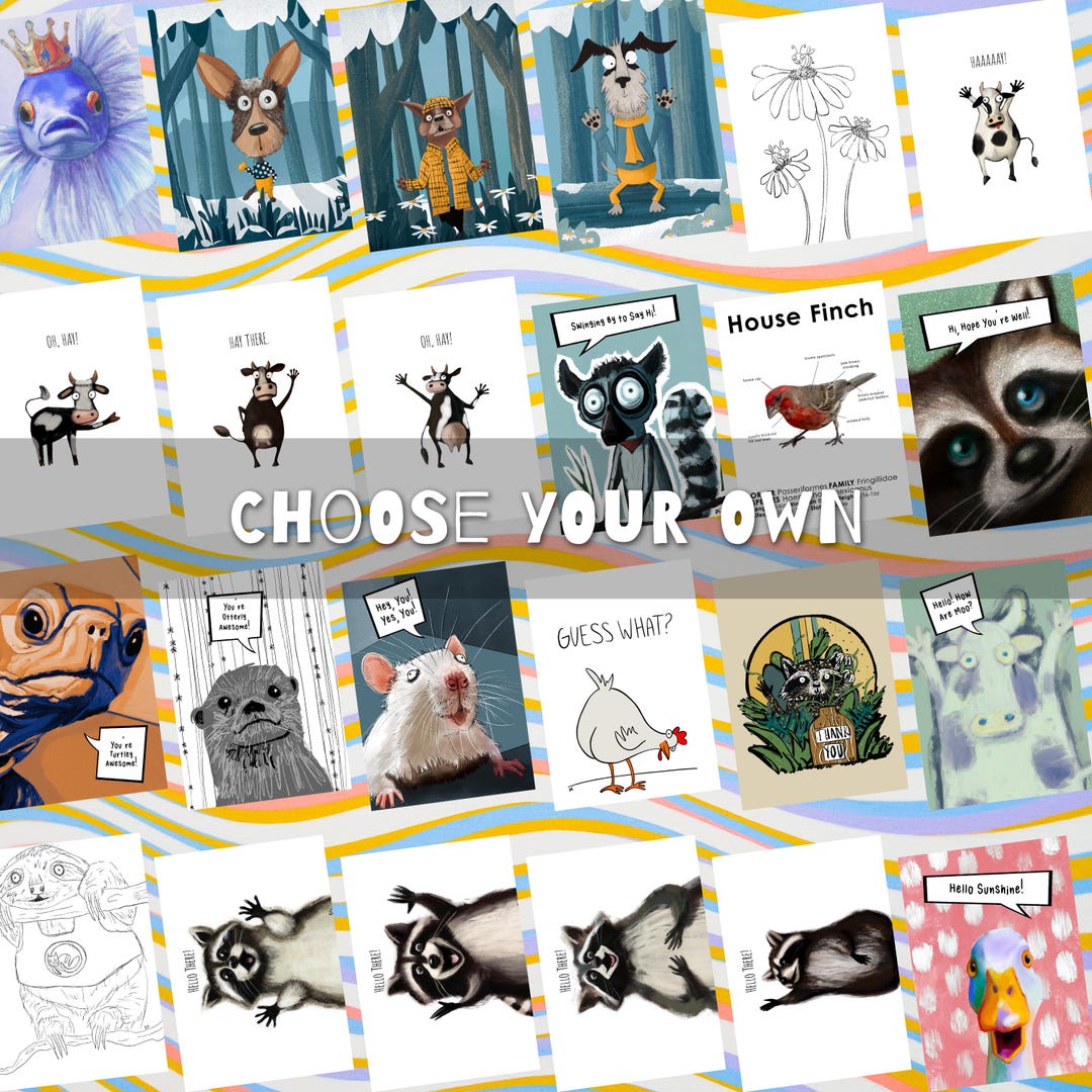 Greeting Card Set - Choose Your Own Greeting Card Set- Funny Animal ...
