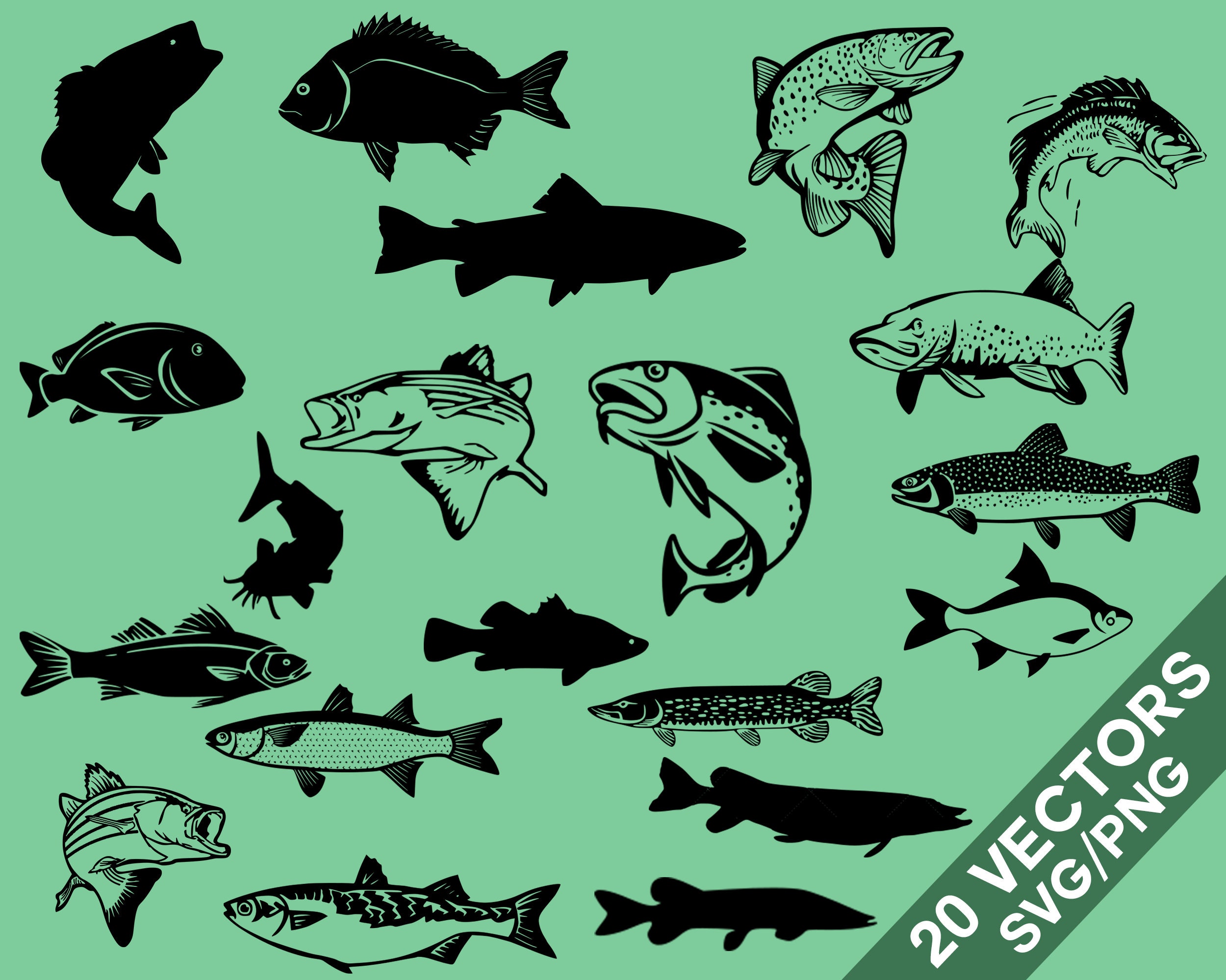 Paquete de peces SVG, PNG, Fish clip art, archivos digitales, archivos ...